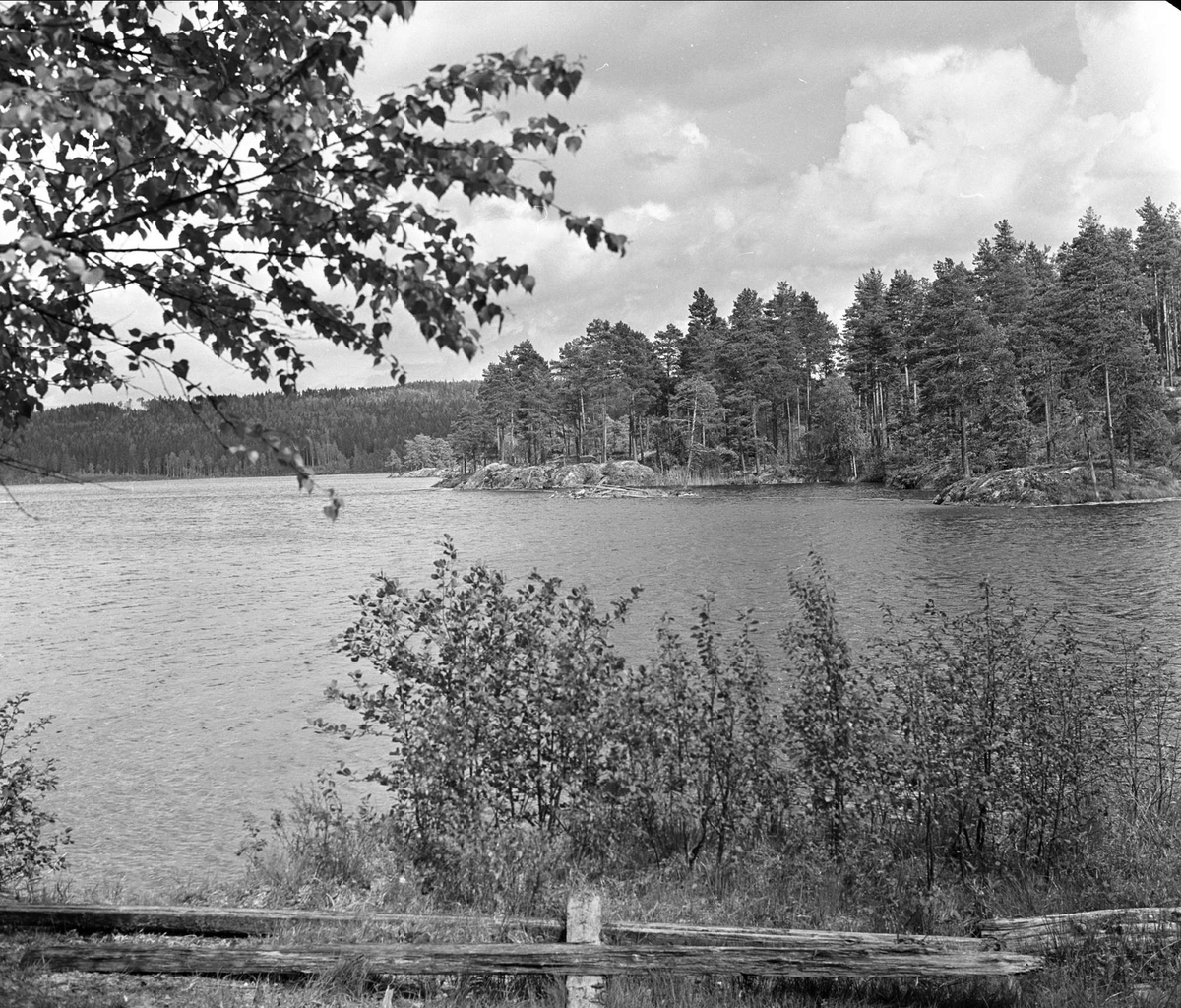 Sammenslåing av Aurskog og nabokommune. Landbruksarealer, Aurskog ... Sammenslåing av Aurskog og nabokommune. Landbruksarealer, Aurskog ...