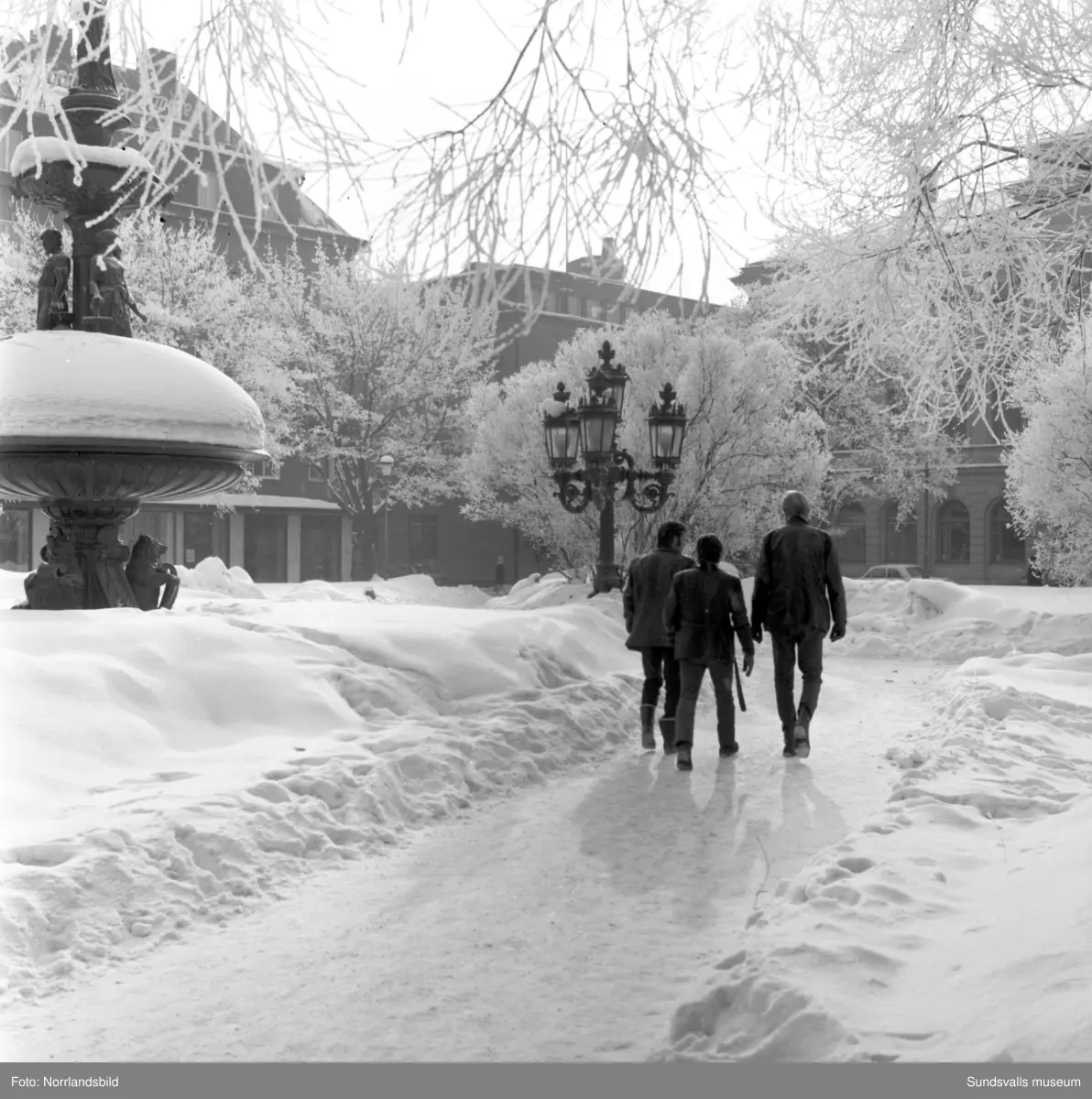 Vackra, frostiga vinterbilder från Sundsvall. Bland annat gamla ...