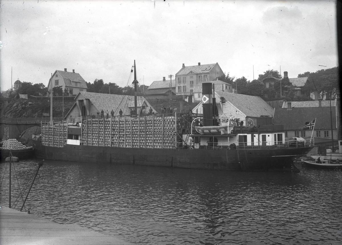 Dampskip - havn - sildesalting - Haugalandmuseet / DigitaltMuseum