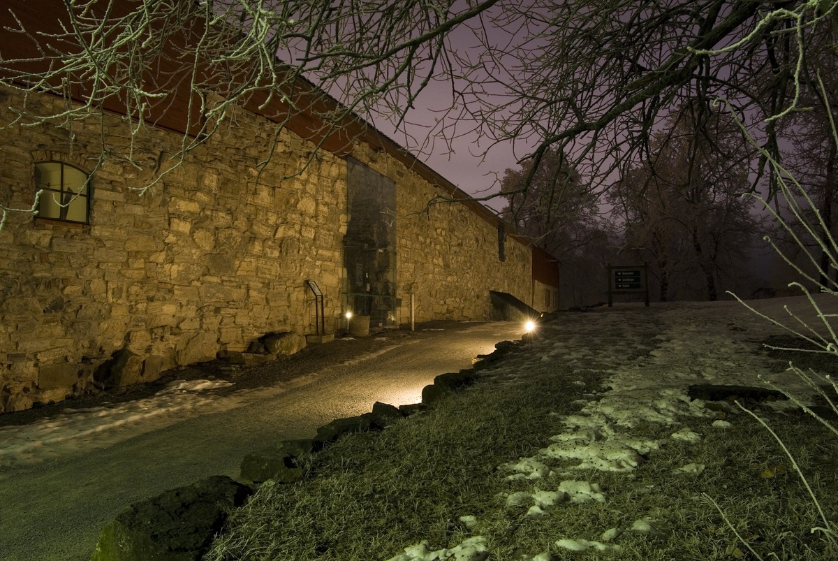 Julestemning ute på Domkirkeodden. Vinter, Juletre, Juletre med lys ...
