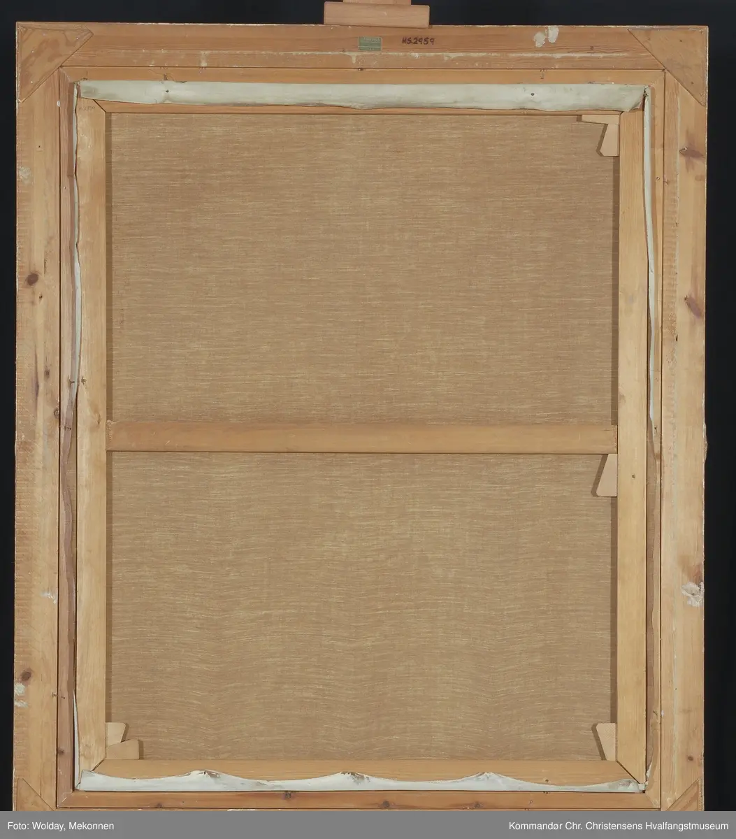 Bilde - Kommandør Chr. Christensens Hvalfangstmuseum / DigitaltMuseum