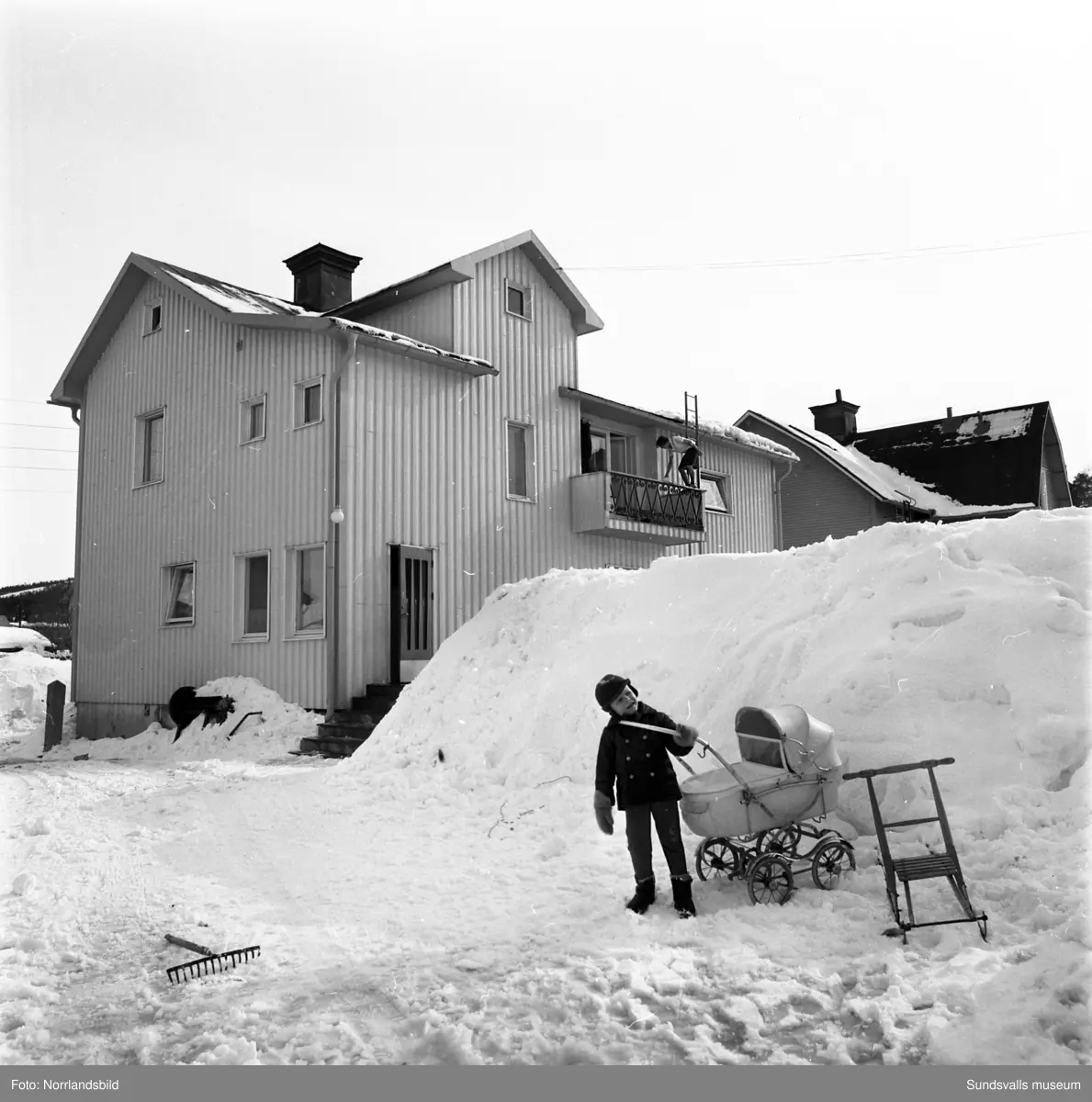 Vinterbilder från Gränsgatan på Södermalm. Villor, snöhögar, hundar ...