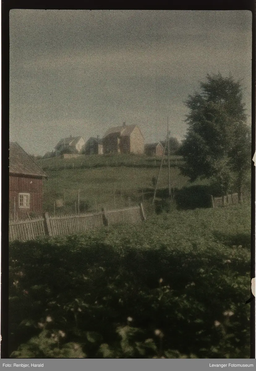 Kulturlandskap i Levanger. - Levanger Fotomuseum / DigitaltMuseum