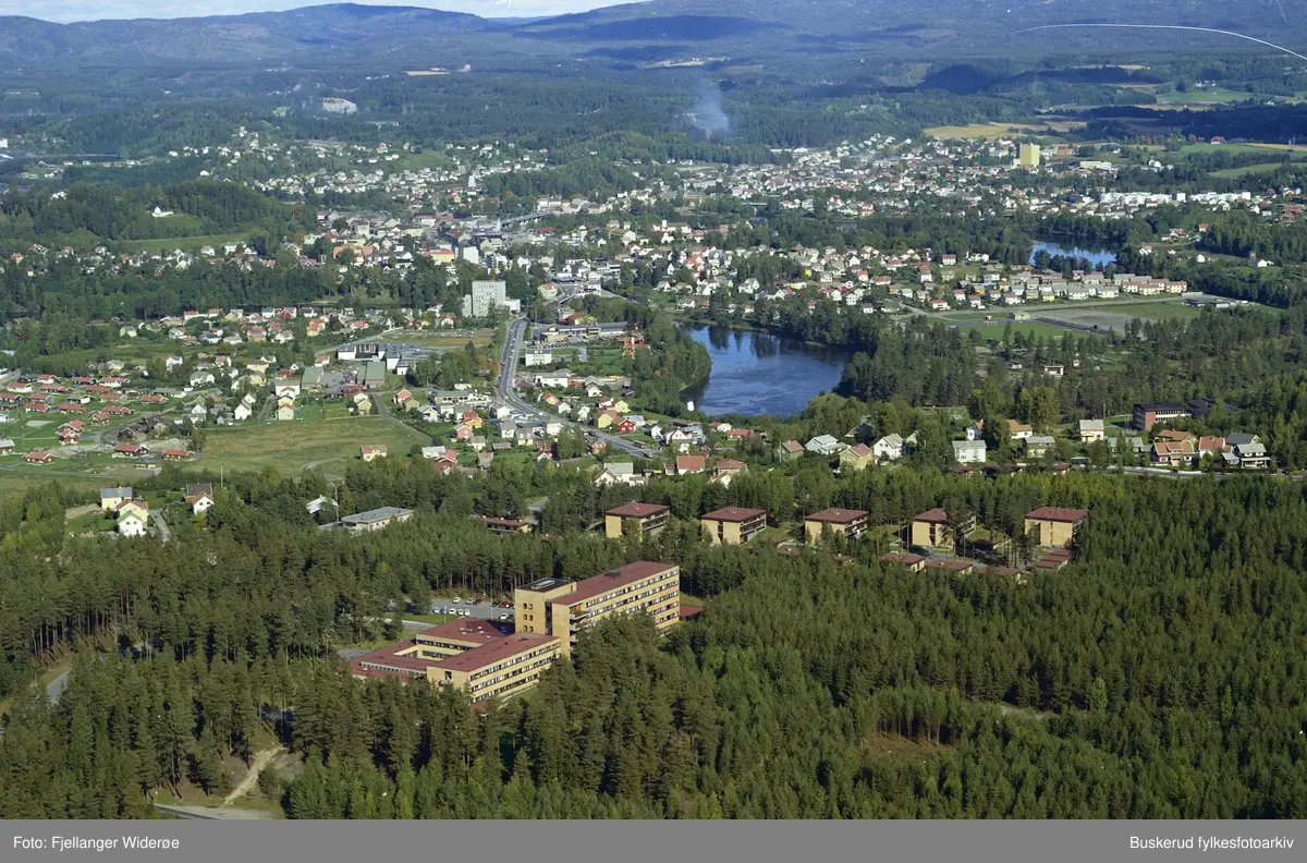 Ringerike sykehus med hele byen i bakgrunnen - Buskerud fylkesfotoarkiv ...