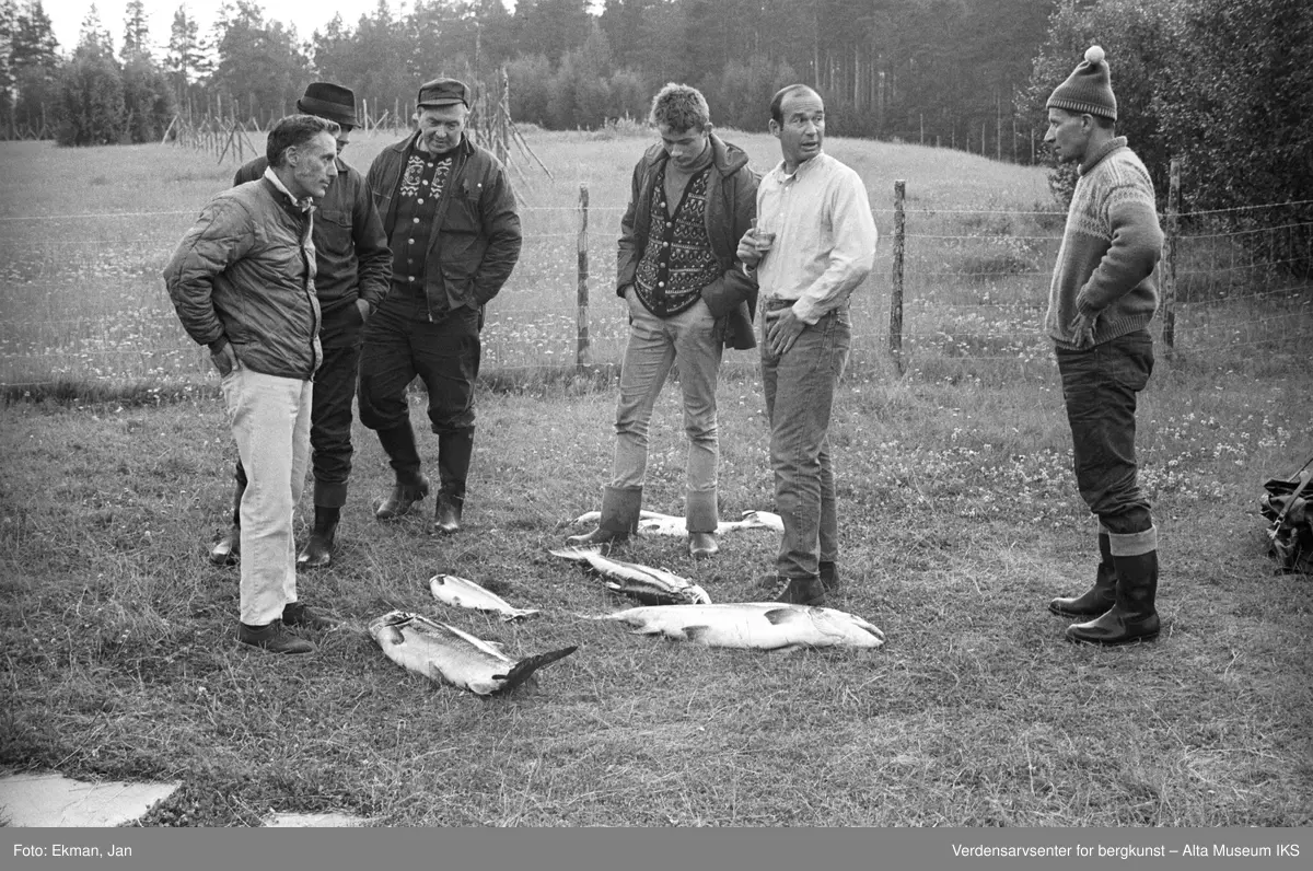 Fangst med person(er). - Verdensarvsenter for bergkunst – Alta Museum ...