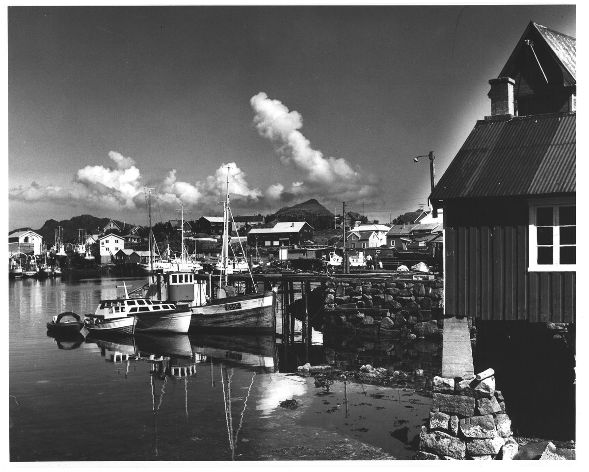 Ballstad i Lofoten - DEXTRA Photo / DigitaltMuseum