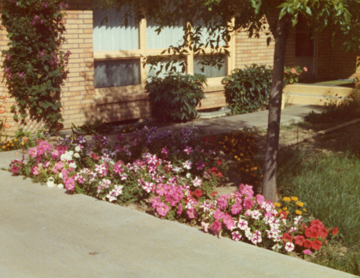 Blomsterprakt i hagen til Sam & Inez Berge i Rudyard, Montana ...