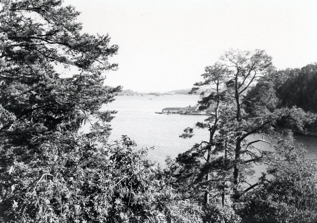 Uutsikt fra Valberg mot Tangen og Kragerøfjorden - Telemark Museum ...