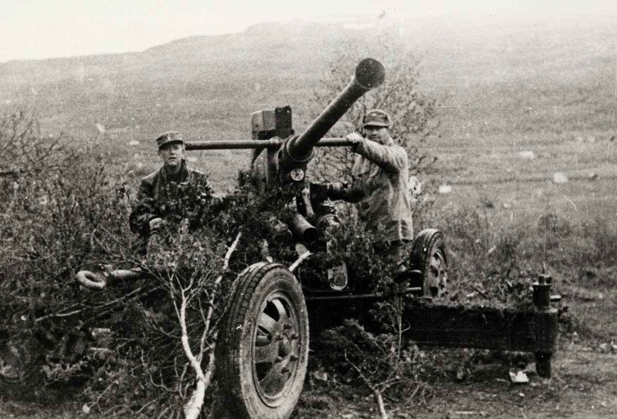 KRIGEN 1940/NORD-NORGE - Forsvarets museer / DigitaltMuseum