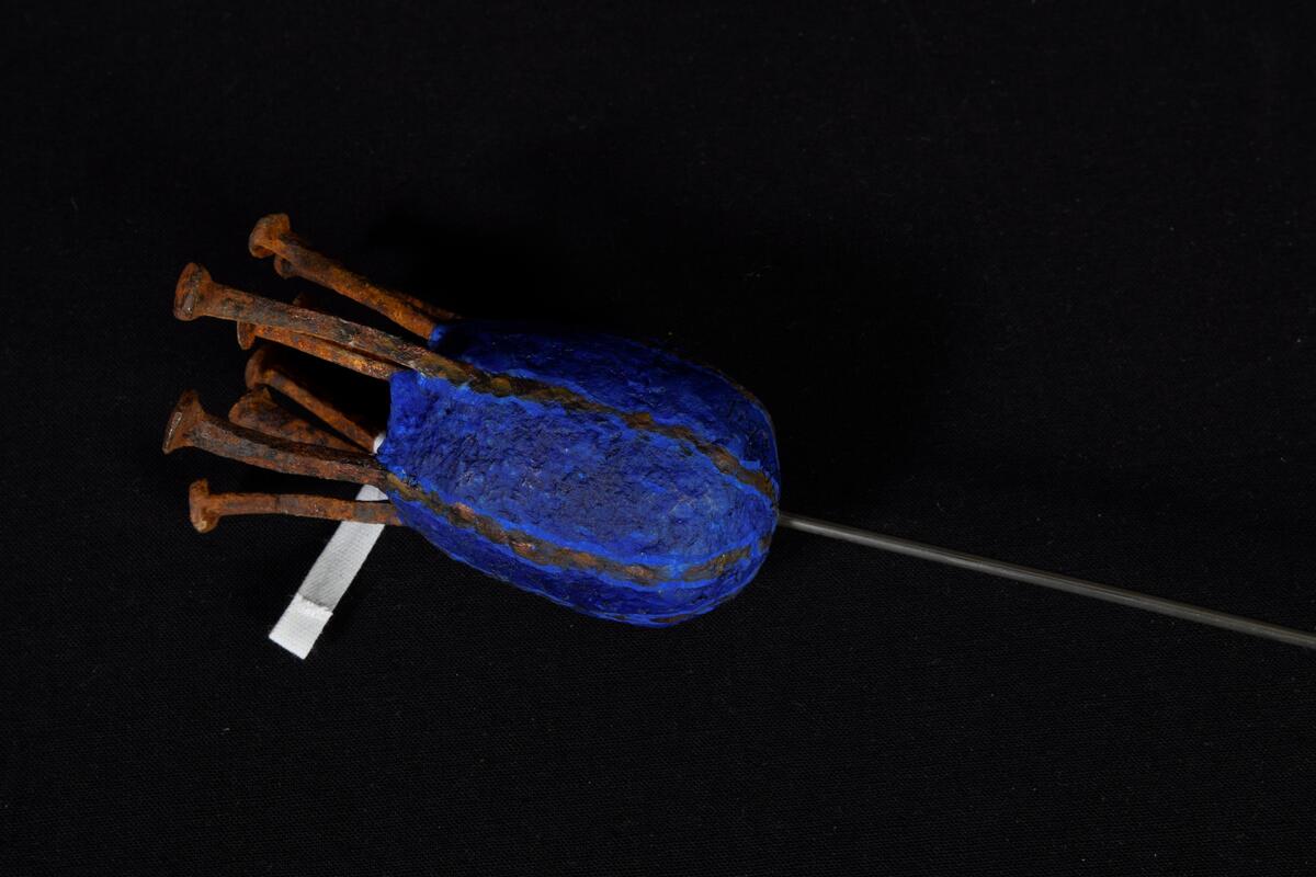 Spikblomma - Västernorrlands museum / DigitaltMuseum