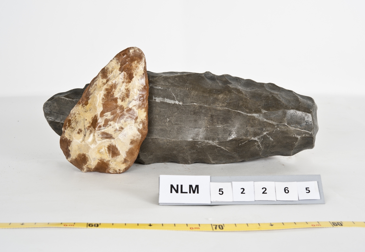 Geologisk samling m/unik ferskvannsfossiler. - Vitenparken Campus Ås ...
