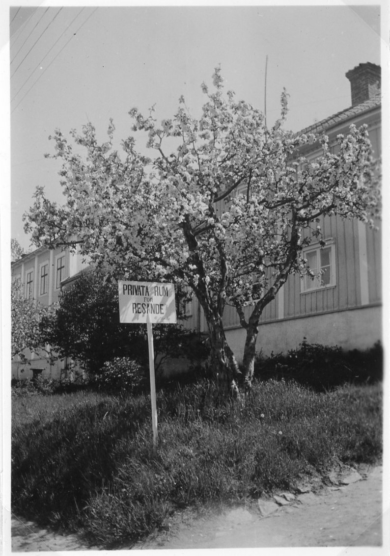 Hus utmed Brahegatan i Gränna; fruktträd och en skylt med texten ...