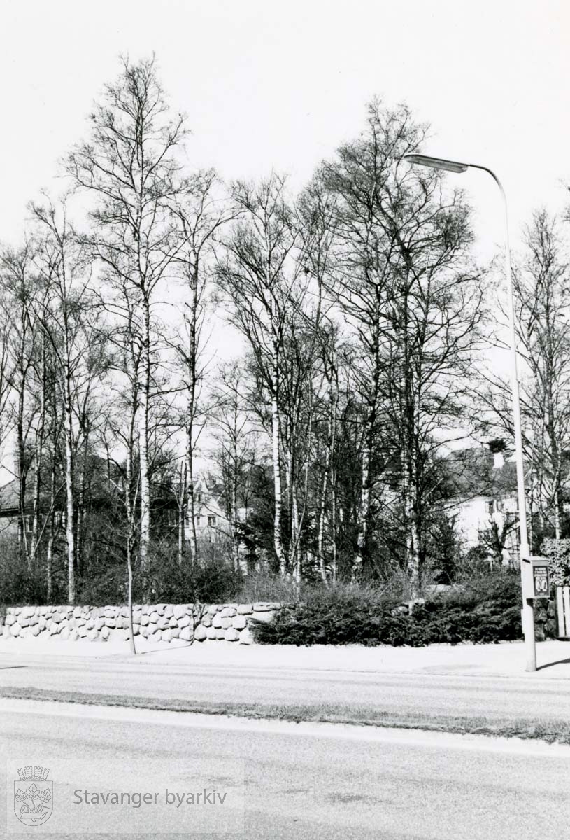Smedvigeiendommen ned mot Madlaveien - Stavanger byarkiv / DigitaltMuseum