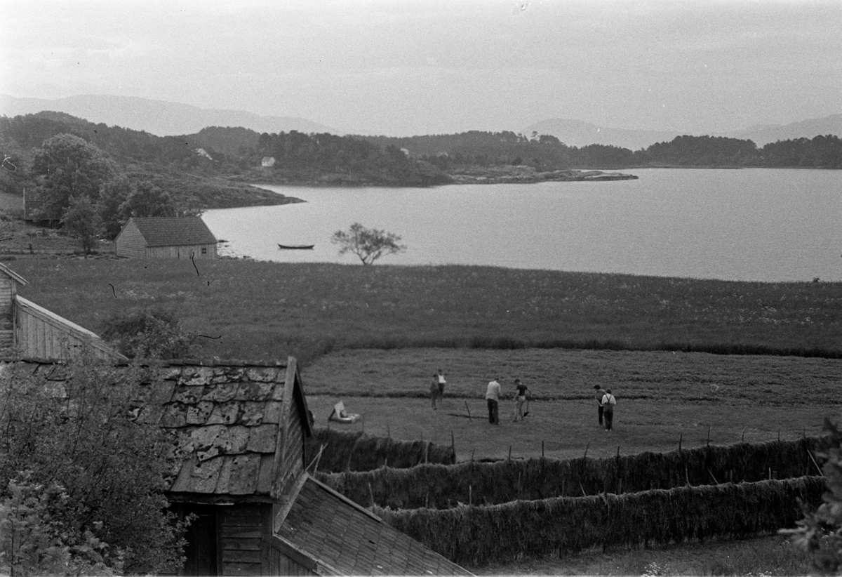 Vinnes, Strandvik sogn, Fusa prestegjeld. Arkeologisk undersøkelse på ...