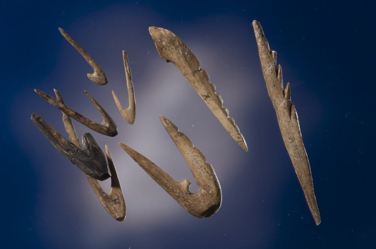 Fiskekroker og harpun av bein fra Viste. - Arkeologisk museum ...