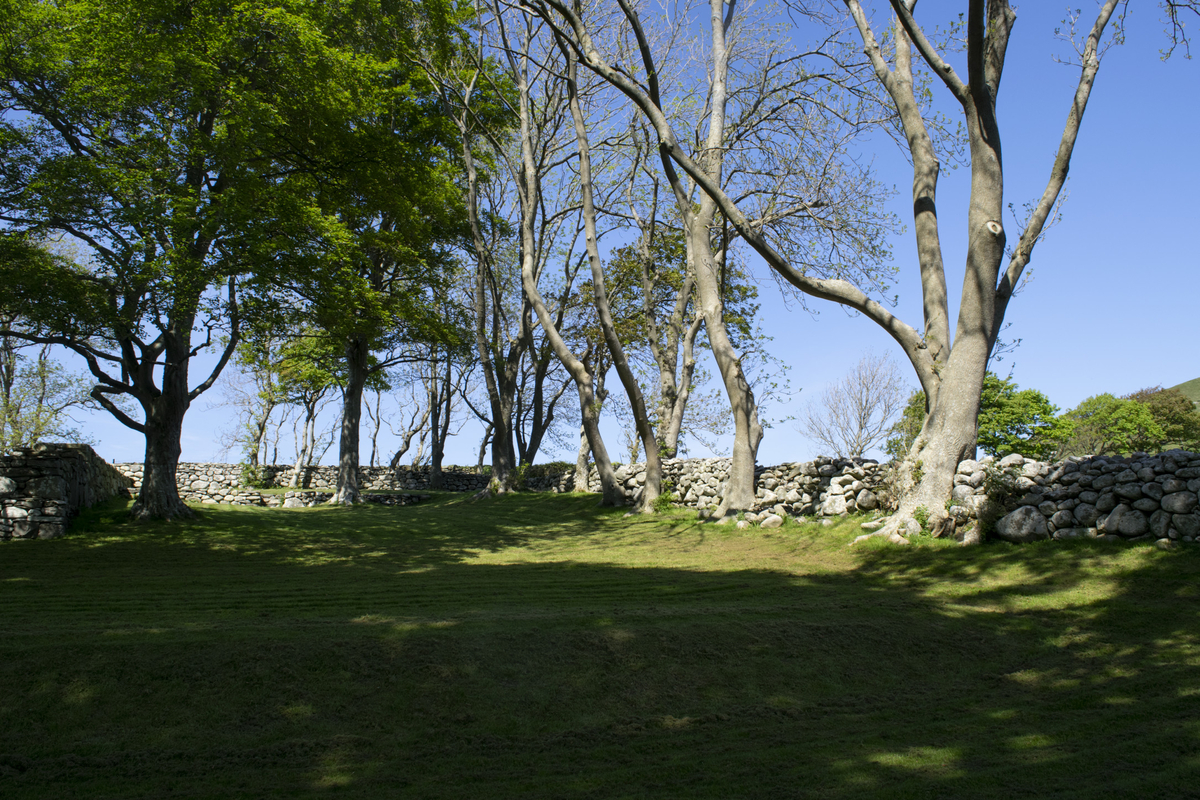 Trær rundt Utstein Kloster. - Arkeologisk museum, Universitetet i ...