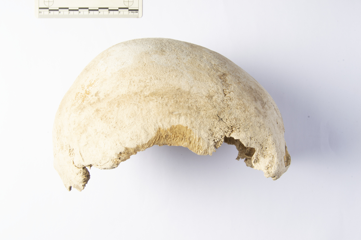 Konservering, magasin AM 2022, 1 - Arkeologisk museum, Universitetet i ...