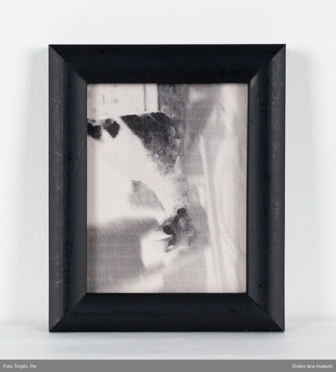 Fotoemulsion - Örebro läns museum / DigitaltMuseum