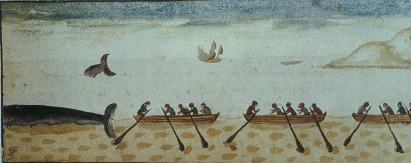 Hvalfangst - Svalbard Museum