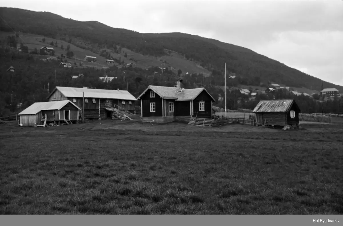 Gardsbruk, våningshus, uthus, låvebru, stolphus, landskap - Hol ...