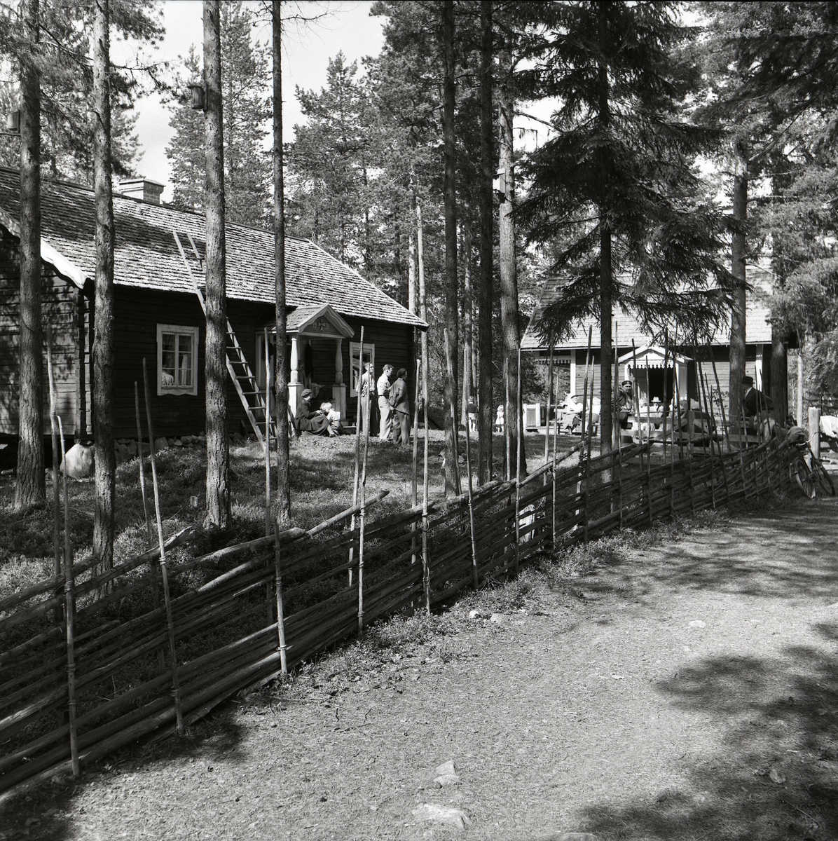 Deltagare engagerar sig i aktiviteter på gårdsplanen under IOGT-NTO:s ...