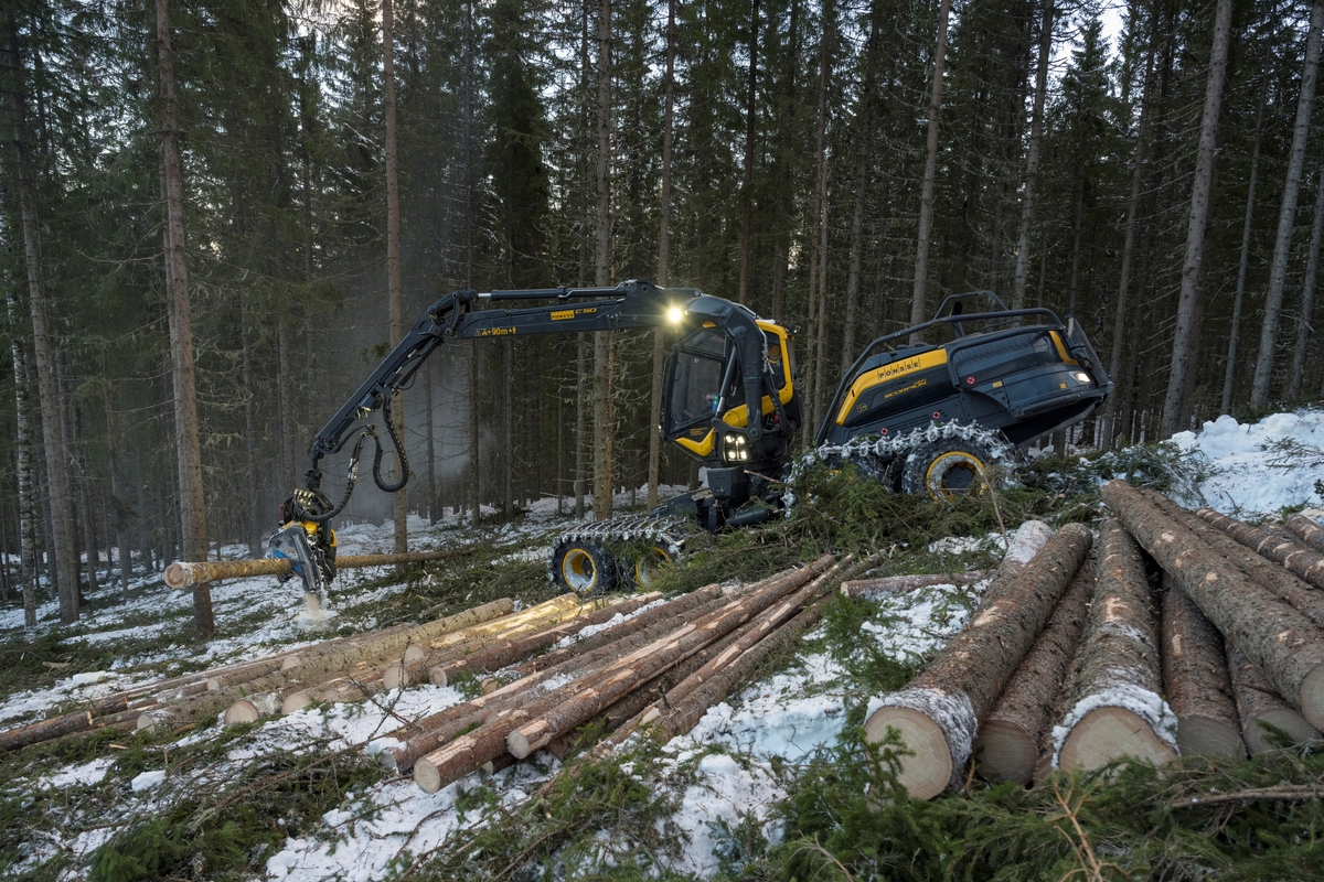 Skogsdrift. Bildet er tatt litt vest for Fallsyringsbakken i Åstdalen ...