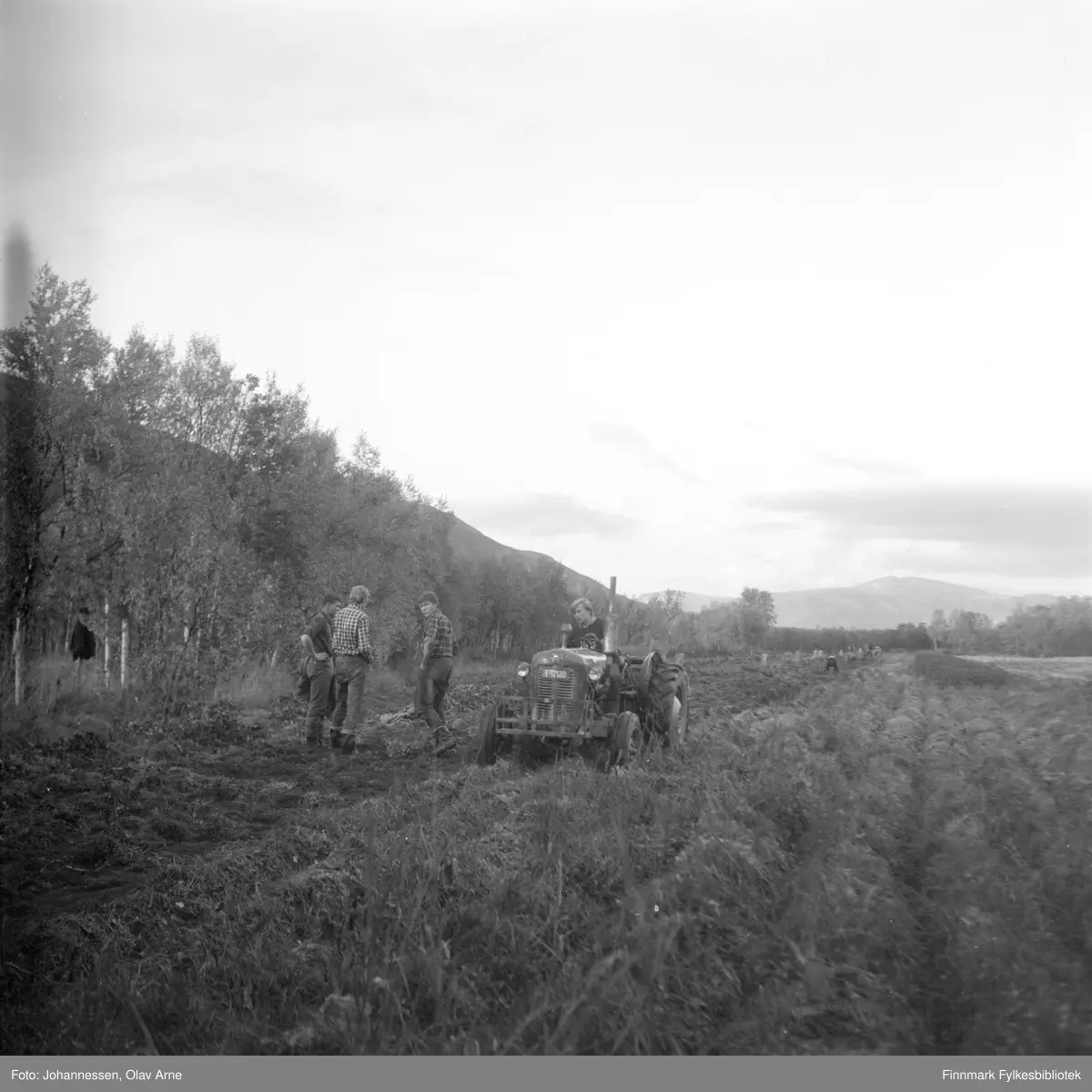 Foto muligens tatt fra Tana i Finnmark, usikker identifisering Traktor ...