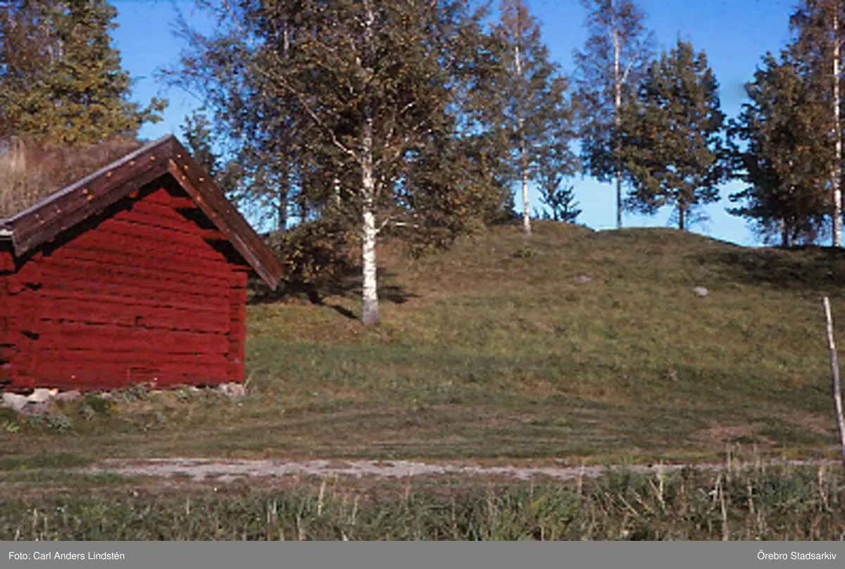 Järnåldersgravar i Högan, 1979 - Örebro Stadsarkiv / DigitaltMuseum