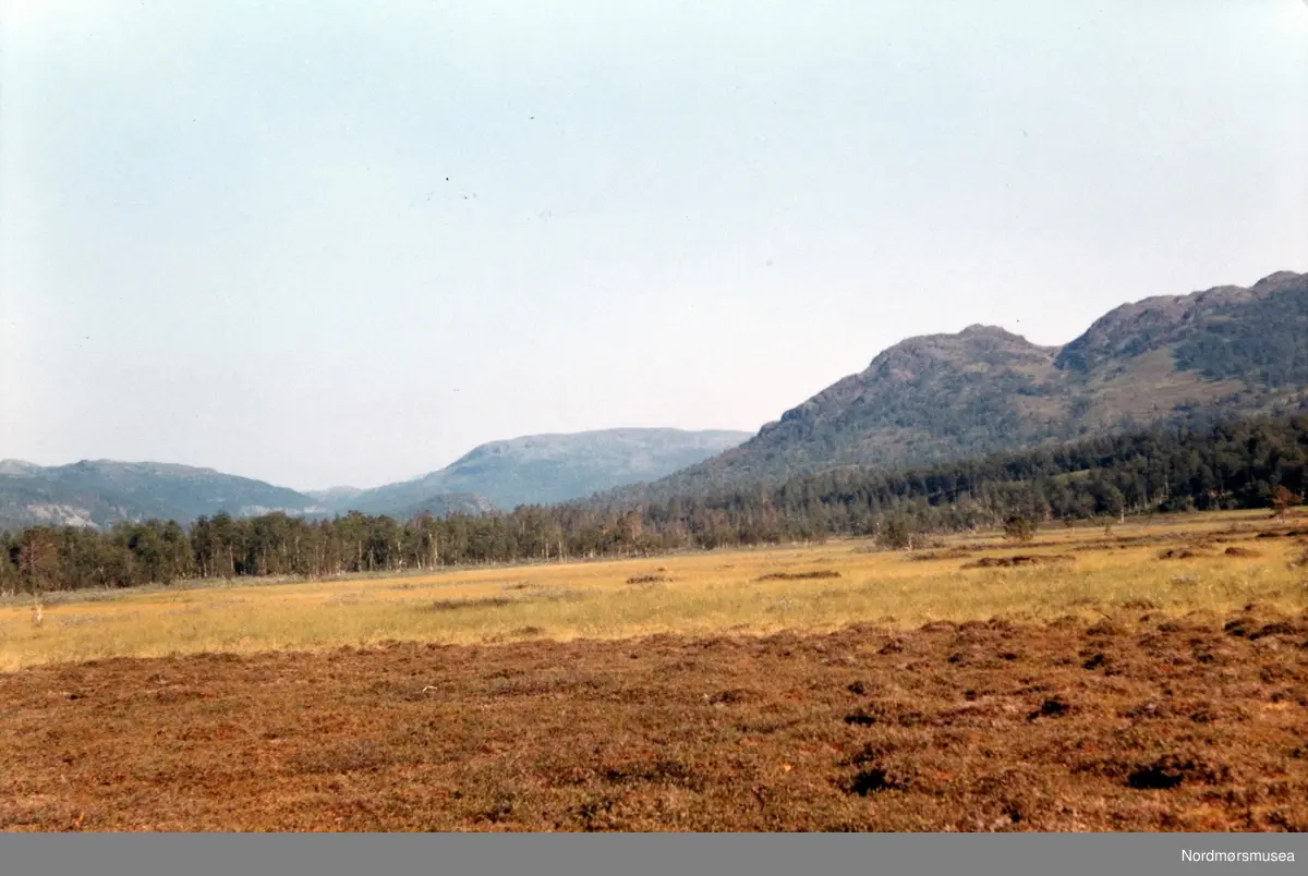 Kåsenmyra, Burfjord i Kvænangen. August 1969. Fra fotoalbumet ...