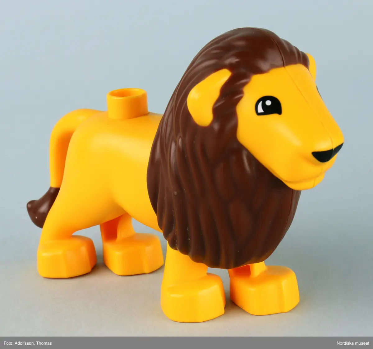 Lejon - Nordiska museet / DigitaltMuseum