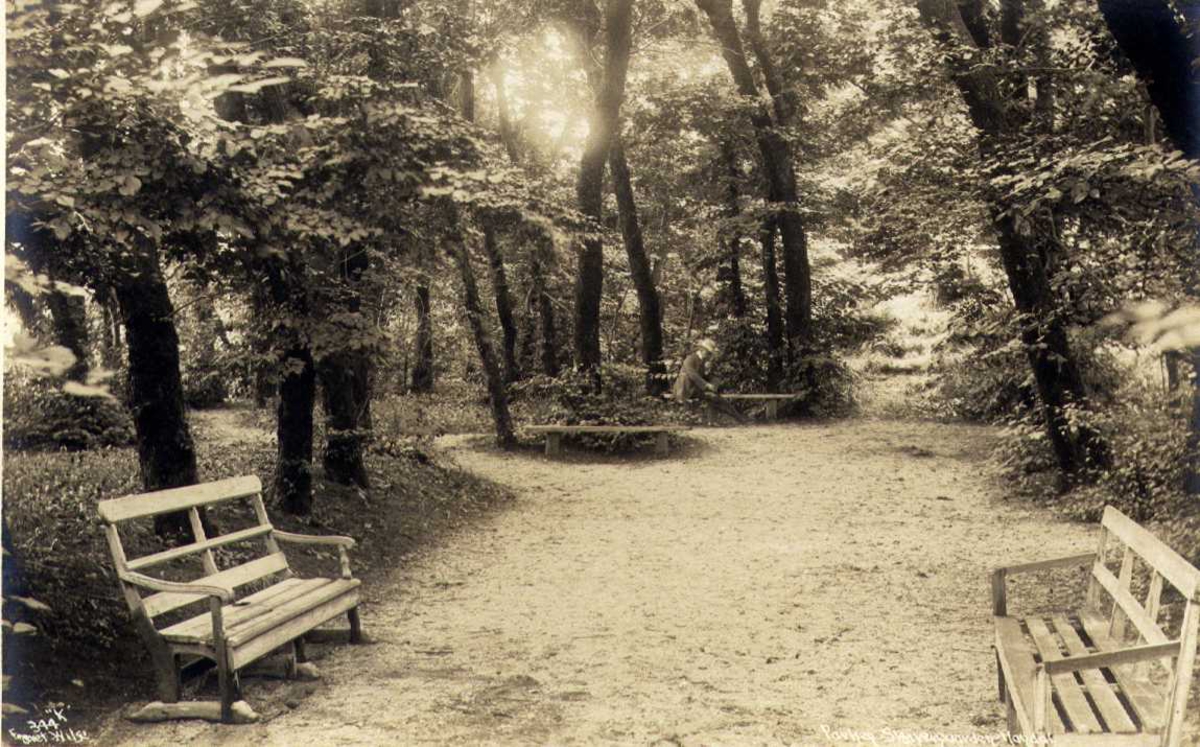 Parken i Skrivergården, Mandal, Vest-Agder. Fotografert 1912. - Norsk ...