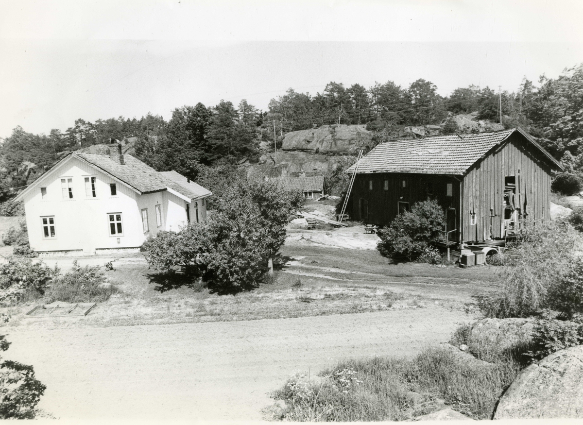 Heistad, husmannsplass under Heibø gård. - Telemark museum / DigitaltMuseum