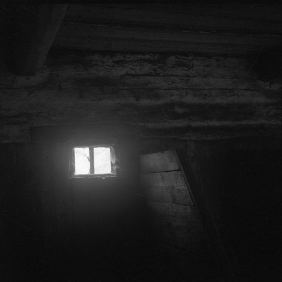 Halmtäckt ladugård, skiftesverk. Interiörbilder från fähus och loge ...