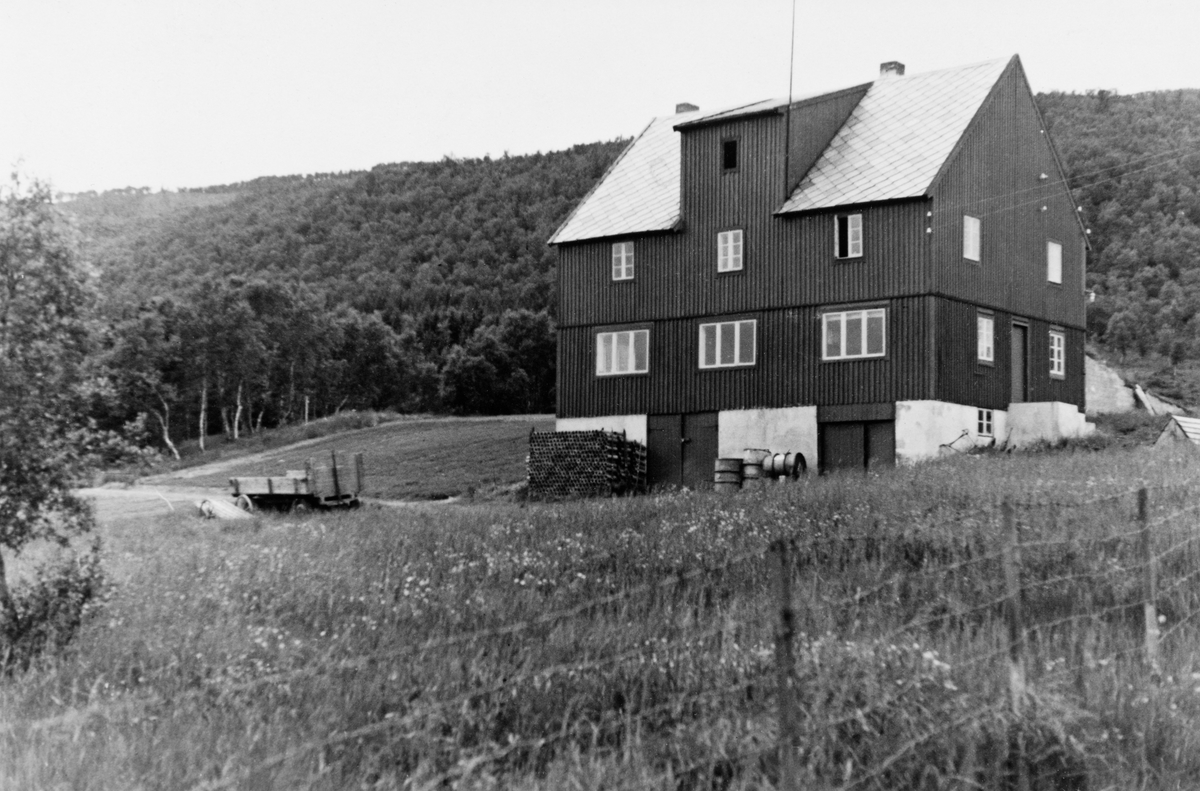 «Ervik Planteskole.» - Anno Norsk skogmuseum / DigitaltMuseum
