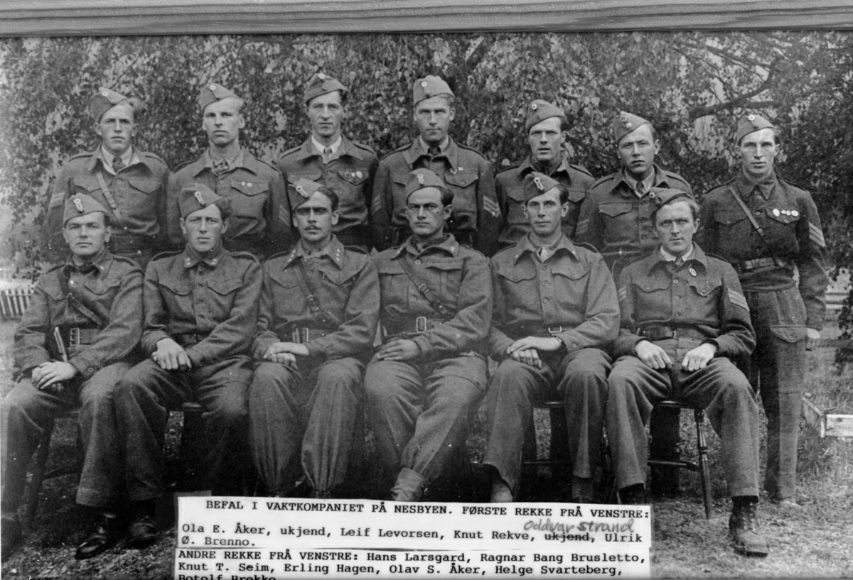 Befal i Vaktkompaniet på Nesbyen 1945. Fyrste rekkjje frå v. Ola E ...