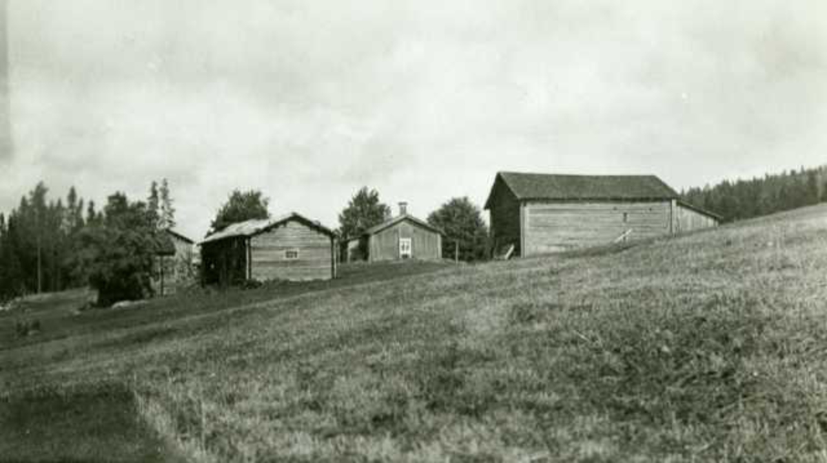 gammelt-finnetorp-ryen-grue-finnskog-grue-hedmark-fotografert-1935