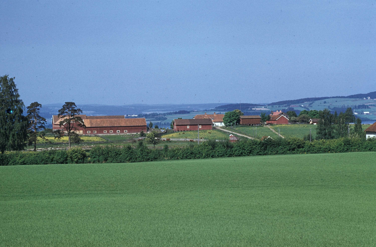Huseby, Stange, Hedmark. - Norsk Folkemuseum / DigitaltMuseum