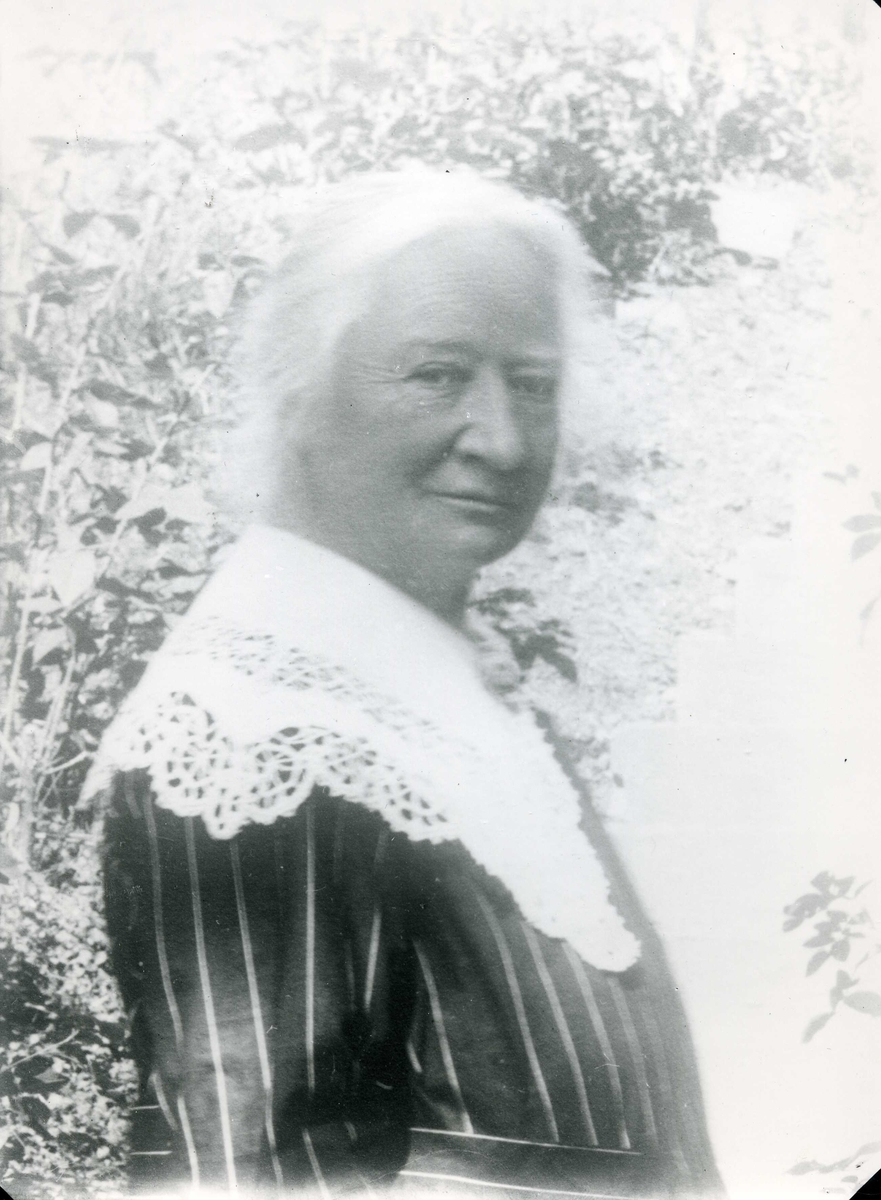 Ellen Key - Grenna Museum– Andréexpeditionen Polarcenter / DigitaltMuseum