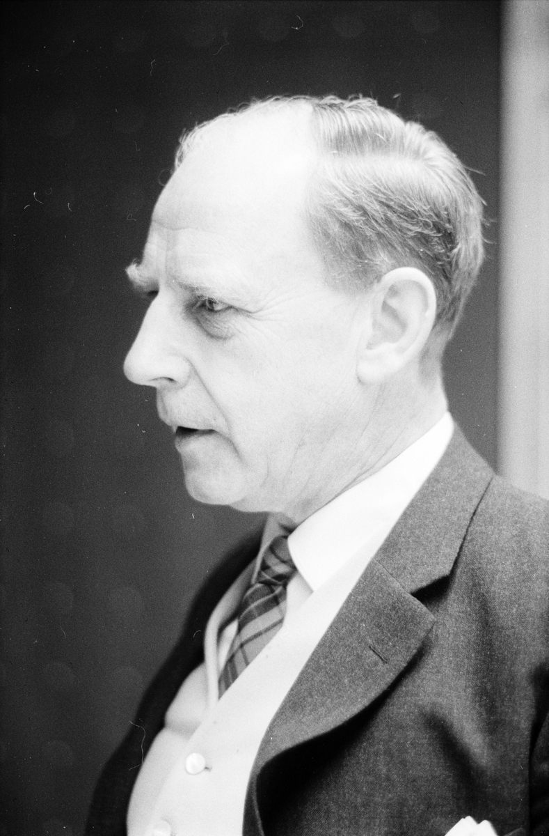 Professor Herman Wold, Uppsala, 1969 - Upplandsmuseet / DigitaltMuseum