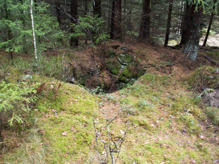 Varggrop Foto av fångstgrop, rund, med kallmurade lodräta sidor. Kring ...