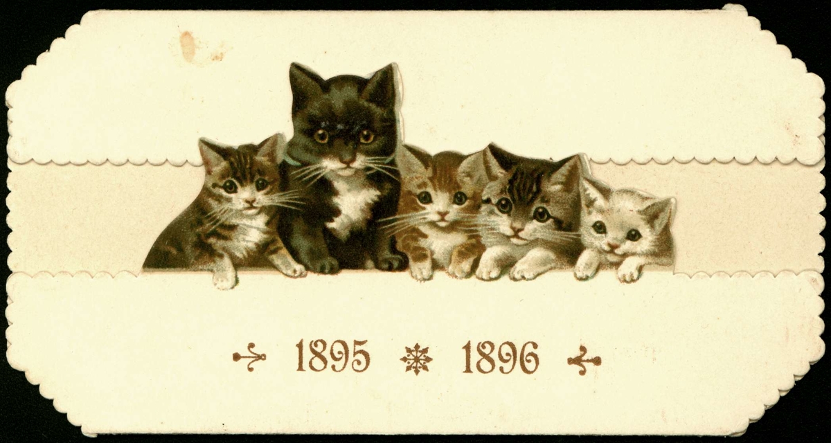 Postkort. Jule- og nyttårshilsen med dyremotiv - katter. Påtrykt 1895 ...