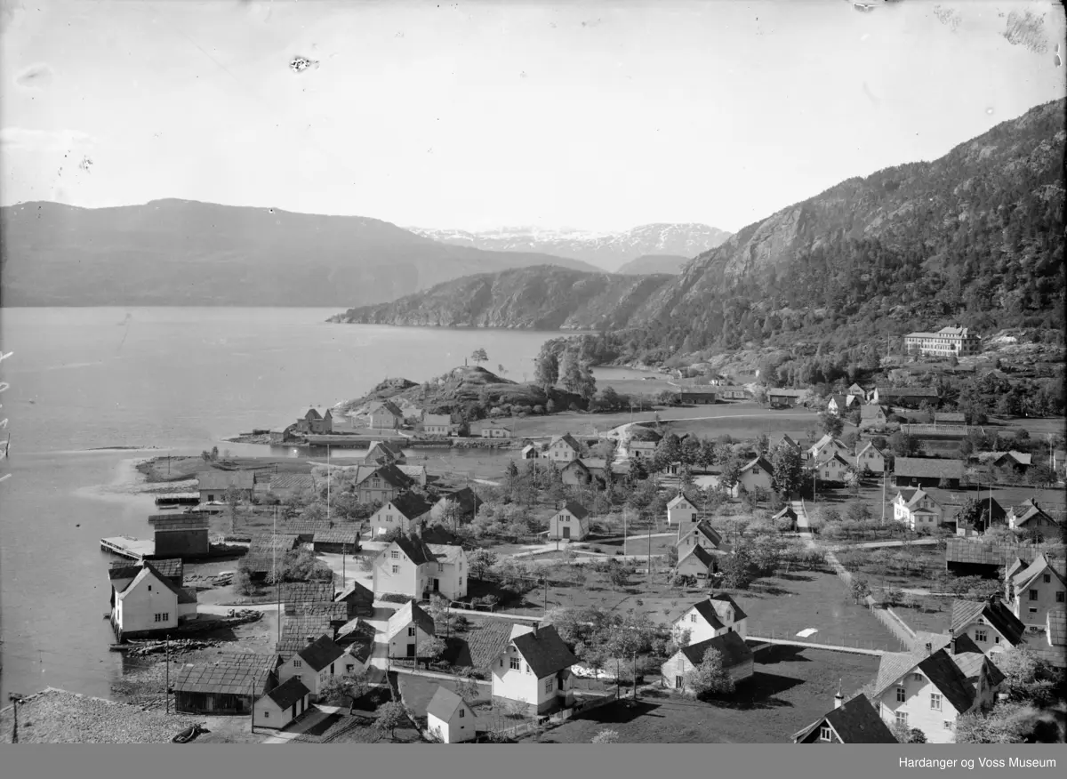 Landskapsbilete, Jondal - Hardanger og Voss Museum / DigitaltMuseum