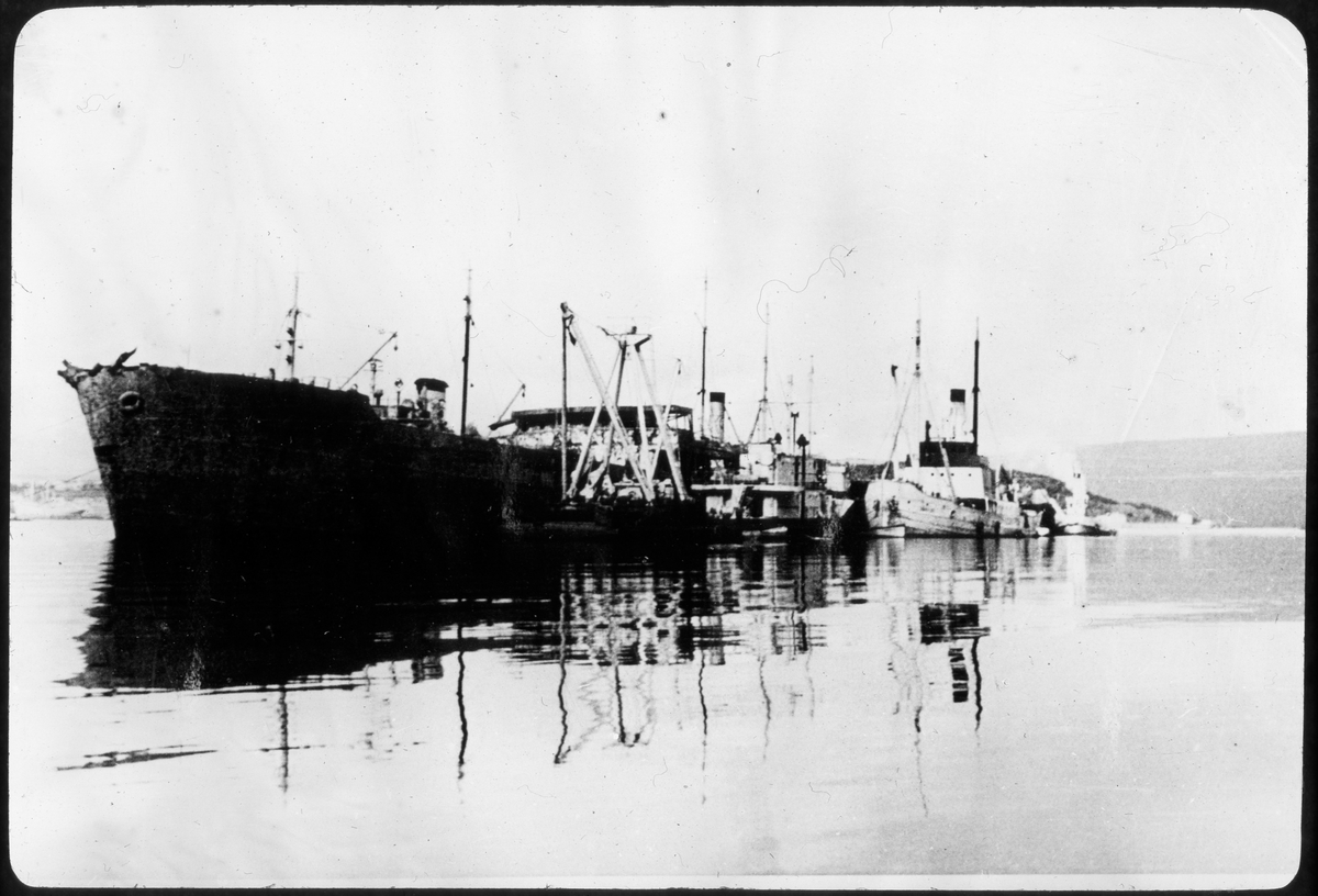 Dampskip HEIN HØYER på grunn, muligens i Narvik ca 1952 - Bergens ...