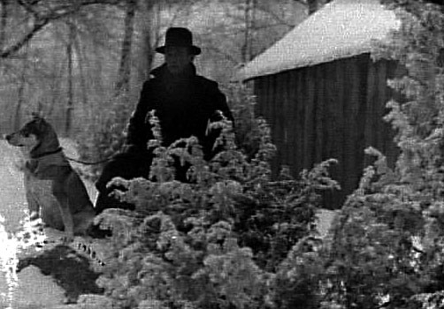 Robert Alvenfors, Barrebacken med sin hund - Västergötlands museum ...
