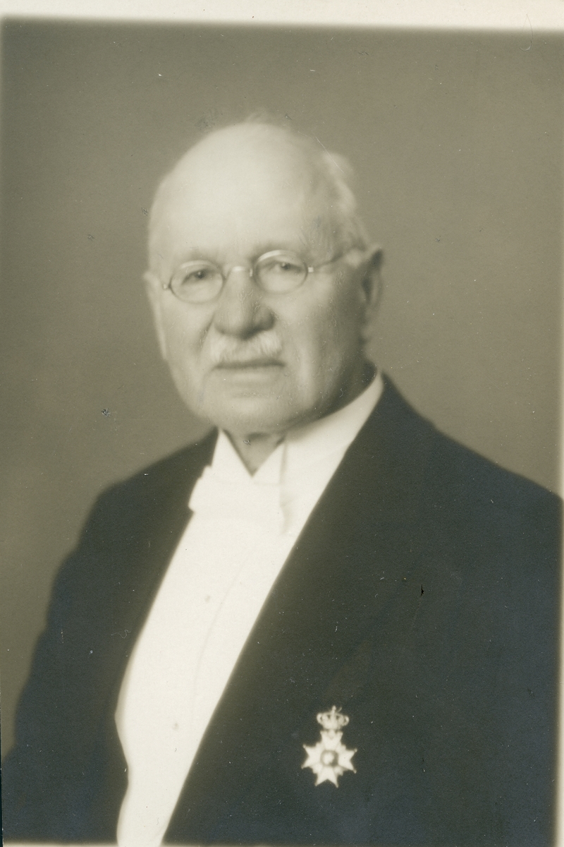 Provinsialläkare Emil Nylander. - Länsmuseet Gävleborg / DigitaltMuseum