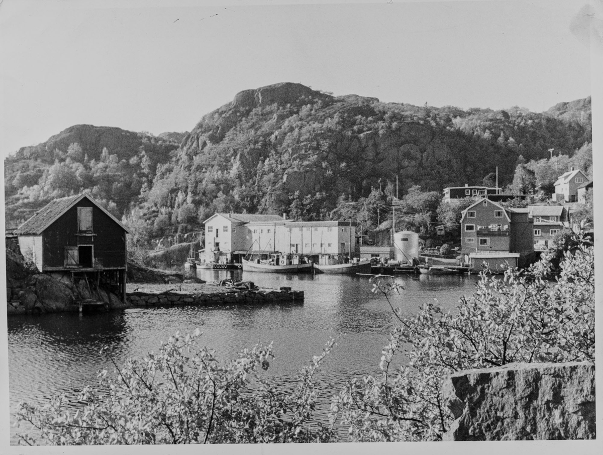 Rekefjord i Sokndal - Dalane Folkemuseum / DigitaltMuseum