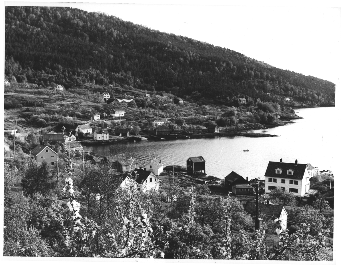 Herand v. Hard. fj. Mellom Utne - Jondal - DEXTRA Photo / DigitaltMuseum