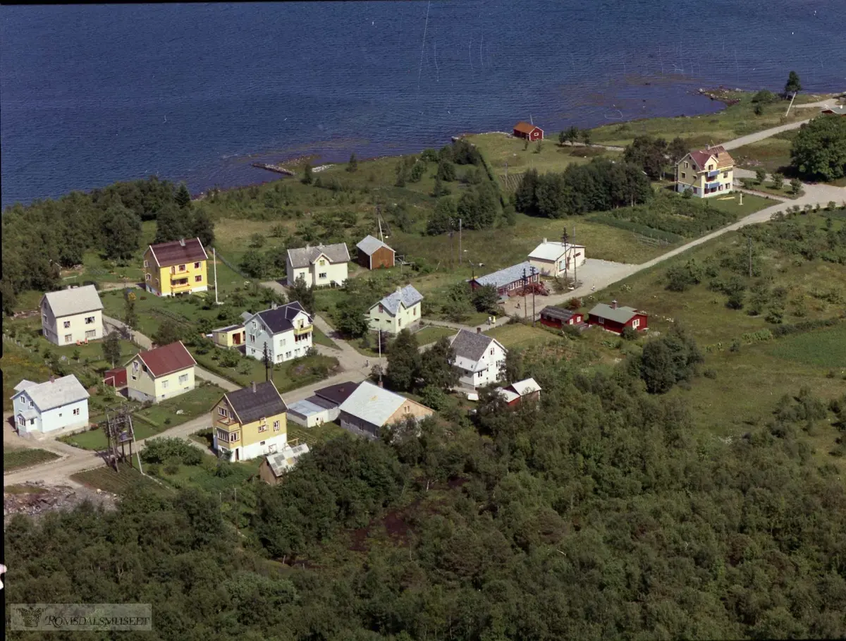 Vestnes, gnr. 51..5. 51/118. Trevarefabrikk, Espe snekkeri, eigar ...