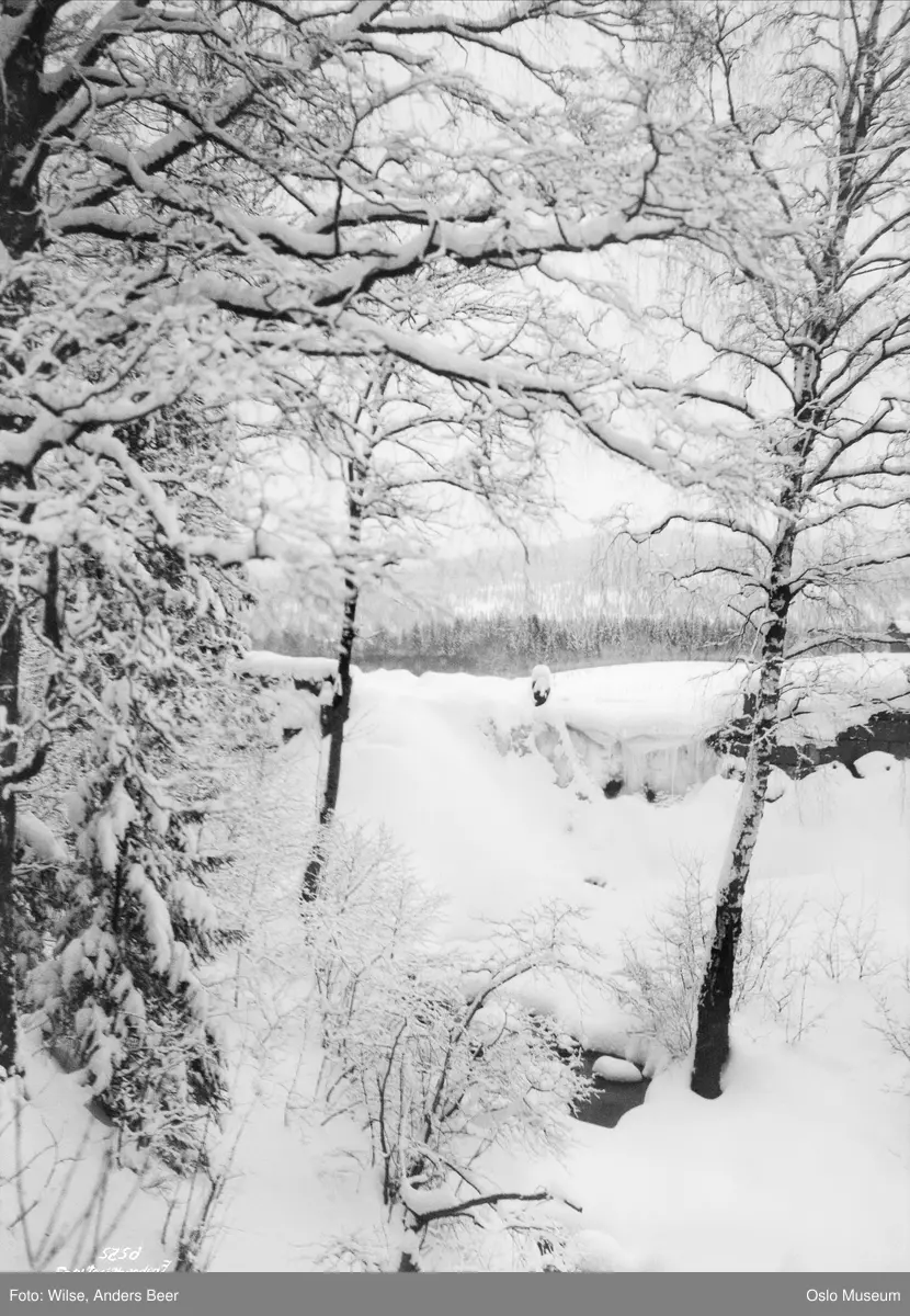 Holmendammen, vinter - Oslo Museum / DigitaltMuseum