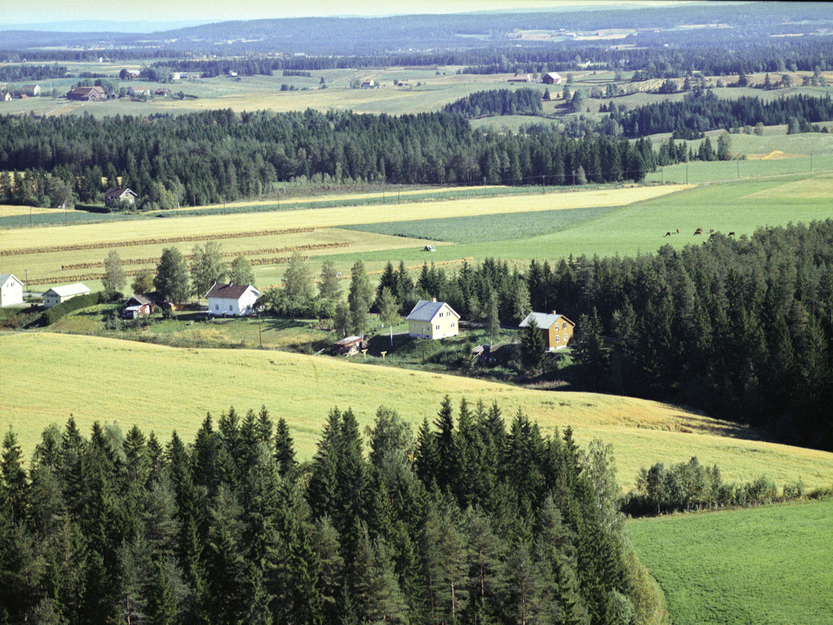 GRANLI VILLA - Museene i Akershus / DigitaltMuseum